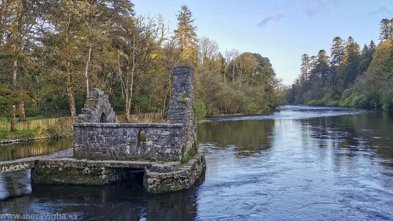 Cong Forest: un especial remanso de paz en el oeste de Irlanda